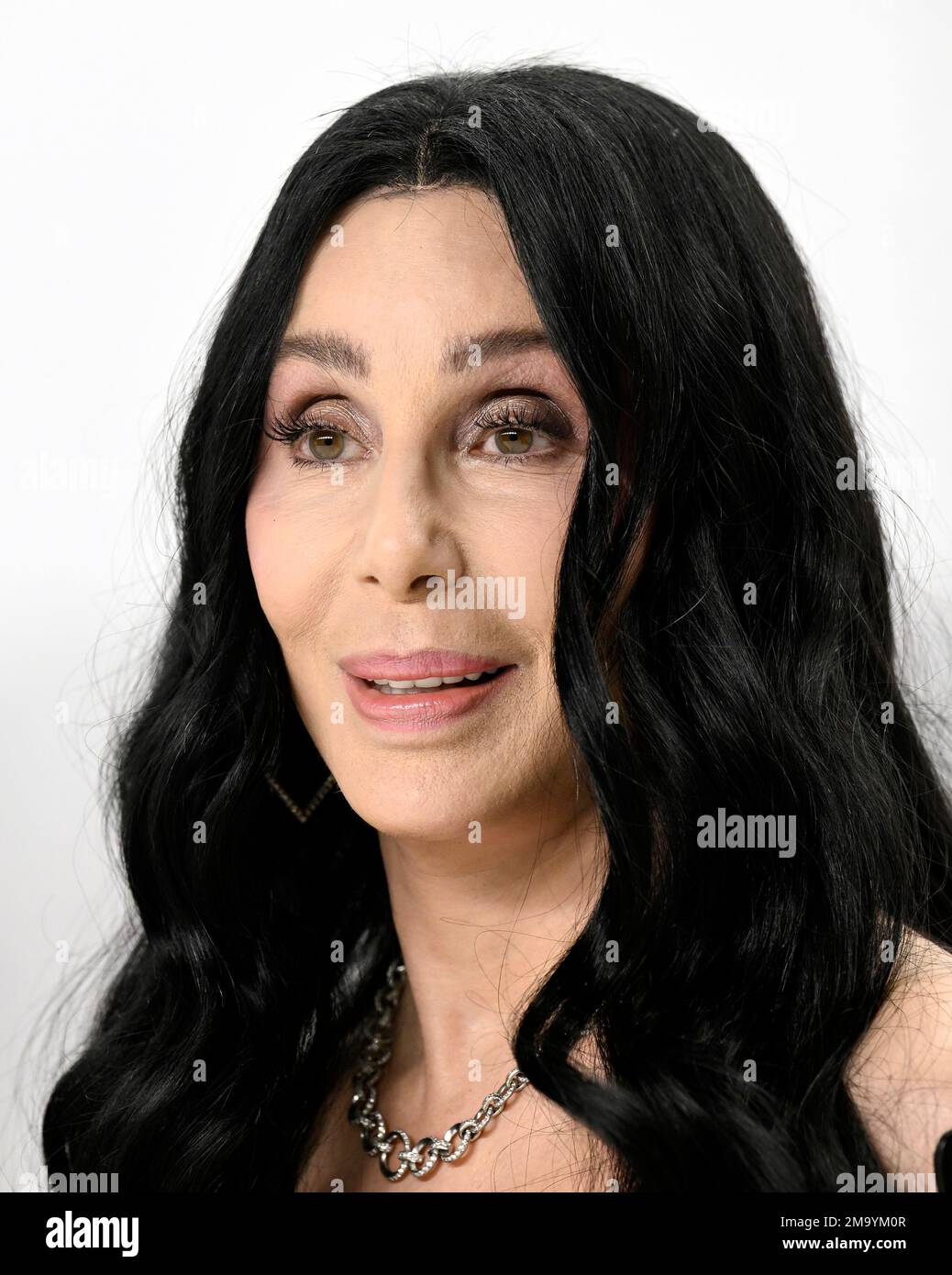 Cher attends the CFDA Fashion Awards at Cipriani South Street on Monday ...