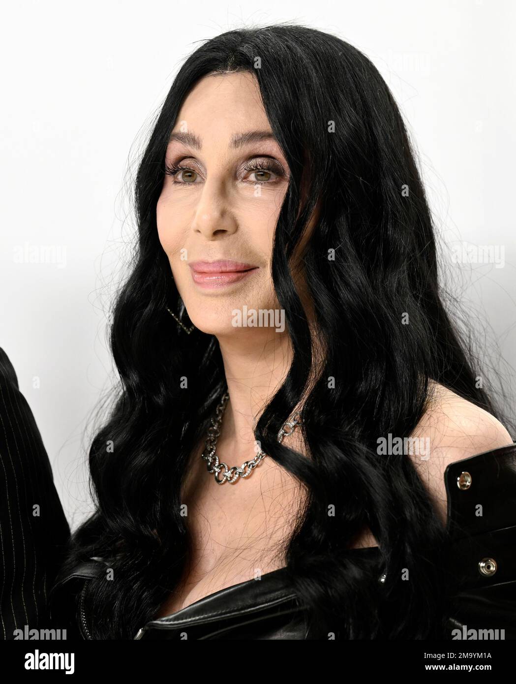 Cher attends the CFDA Fashion Awards at Cipriani South Street on Monday ...