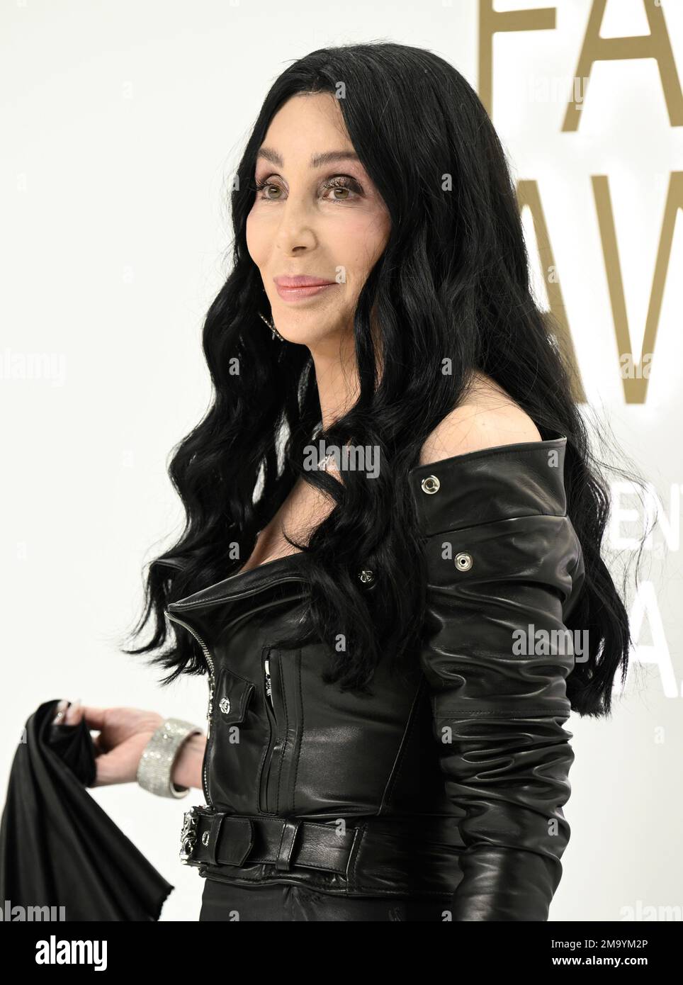 Cher attends the CFDA Fashion Awards at Cipriani South Street on Monday ...