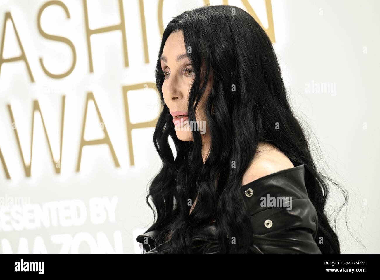 Cher attends the CFDA Fashion Awards at Cipriani South Street on Monday ...