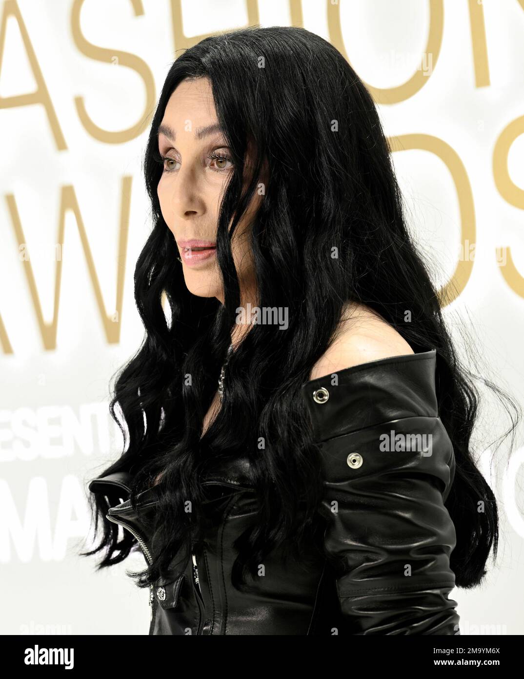 Cher attends the CFDA Fashion Awards at Cipriani South Street on Monday, Nov. 7, 2022, in New ...