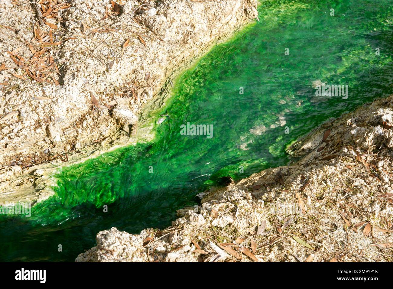 Thermal water stream rich hi-res stock photography and images - Alamy