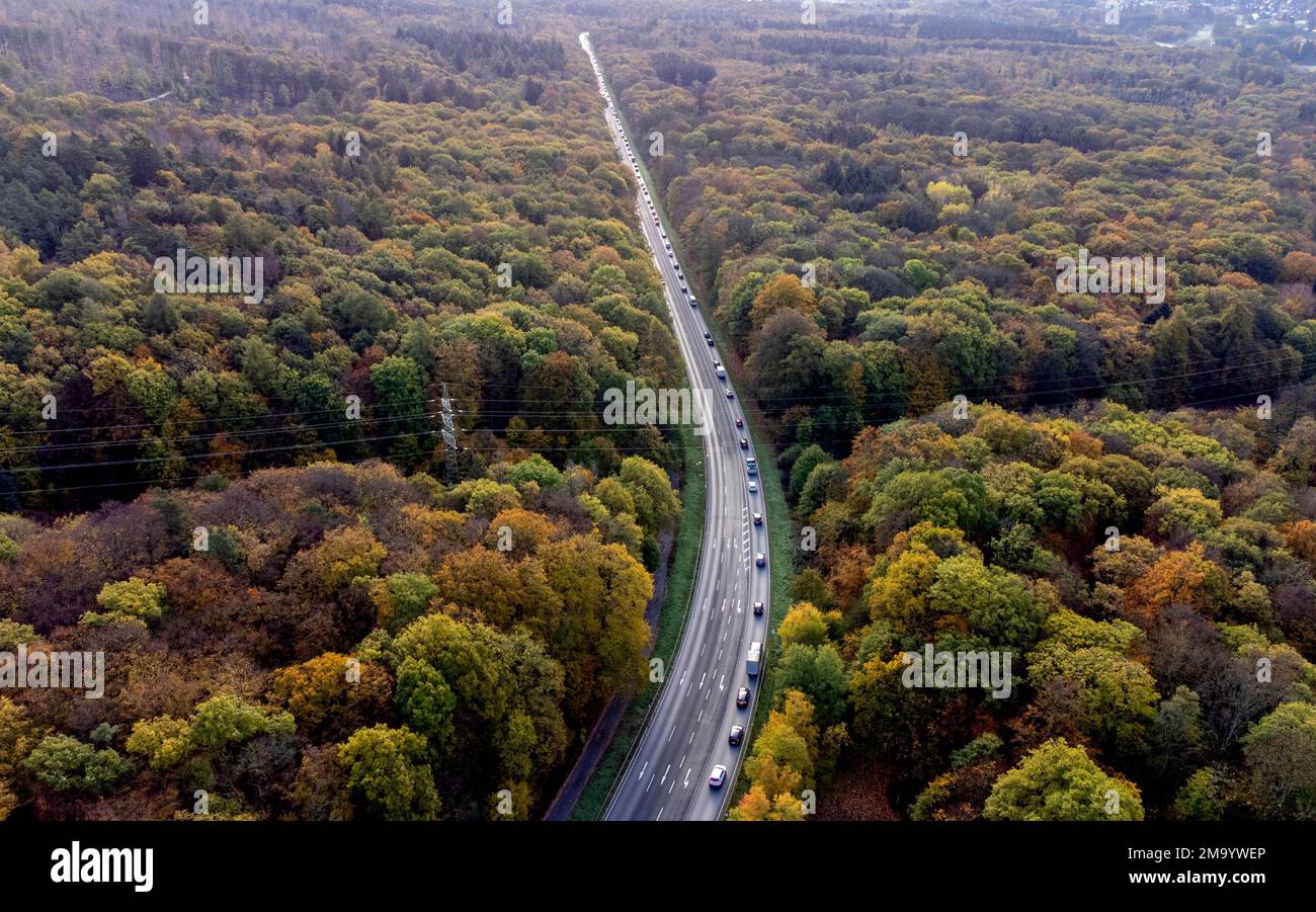Commmuters drive on one of the main roads from the forests of the ...