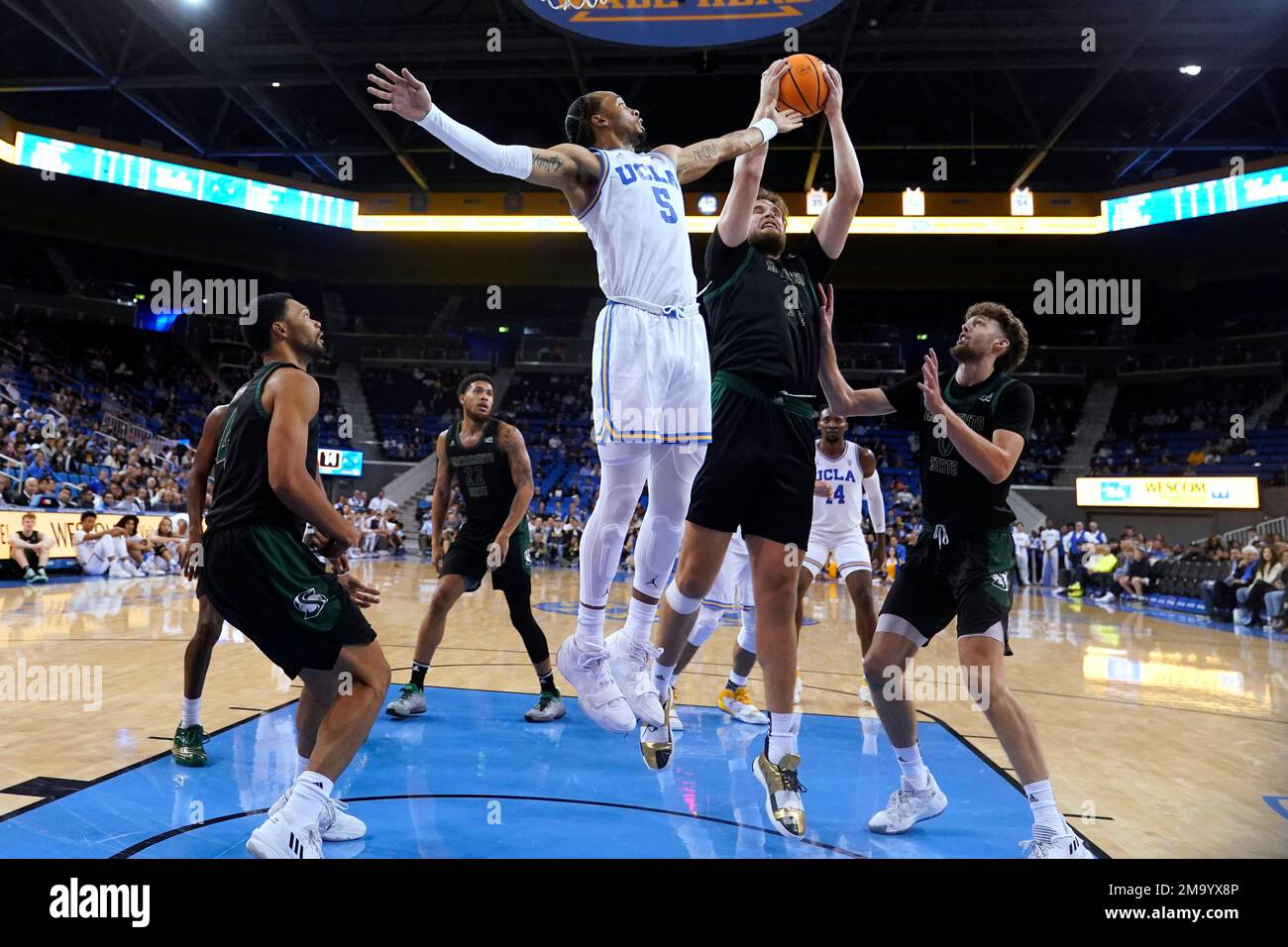 Sacramento State center Callum McRae (25) grabs a rebound next to UCLA ...