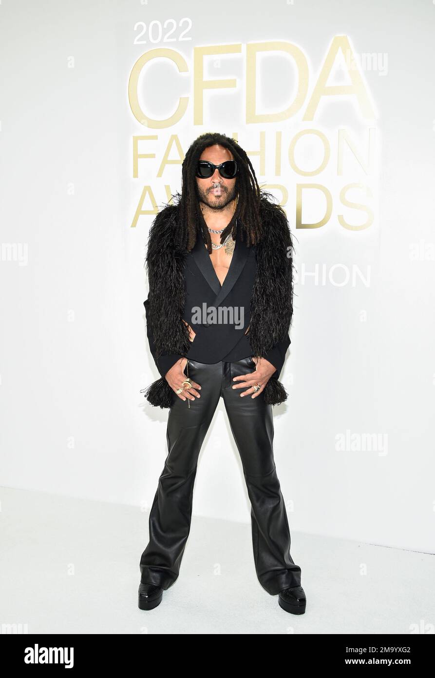Lenny Kravitz attends the CFDA Fashion Awards at Cipriani South Street ...