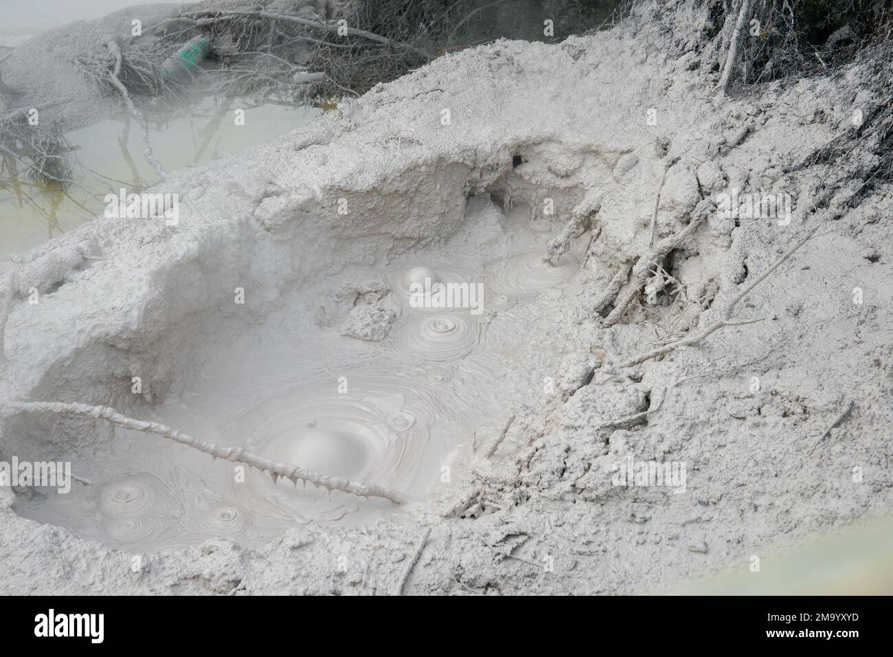 Steaming geothermal activity in central North Island New Zealand Stock ...