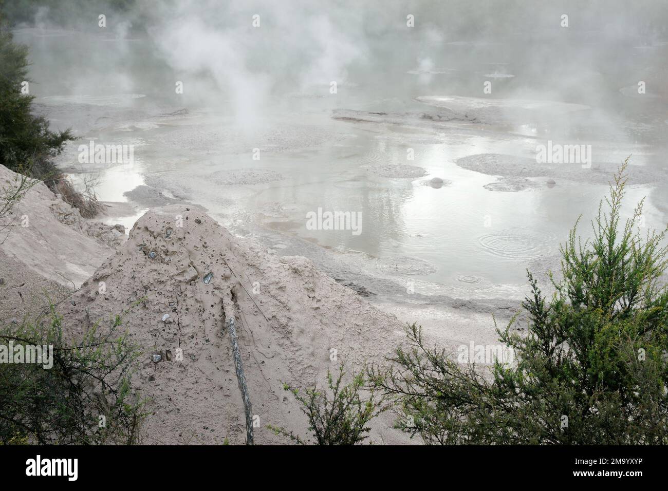 Steaming geothermal activity in central North Island New Zealand Stock ...