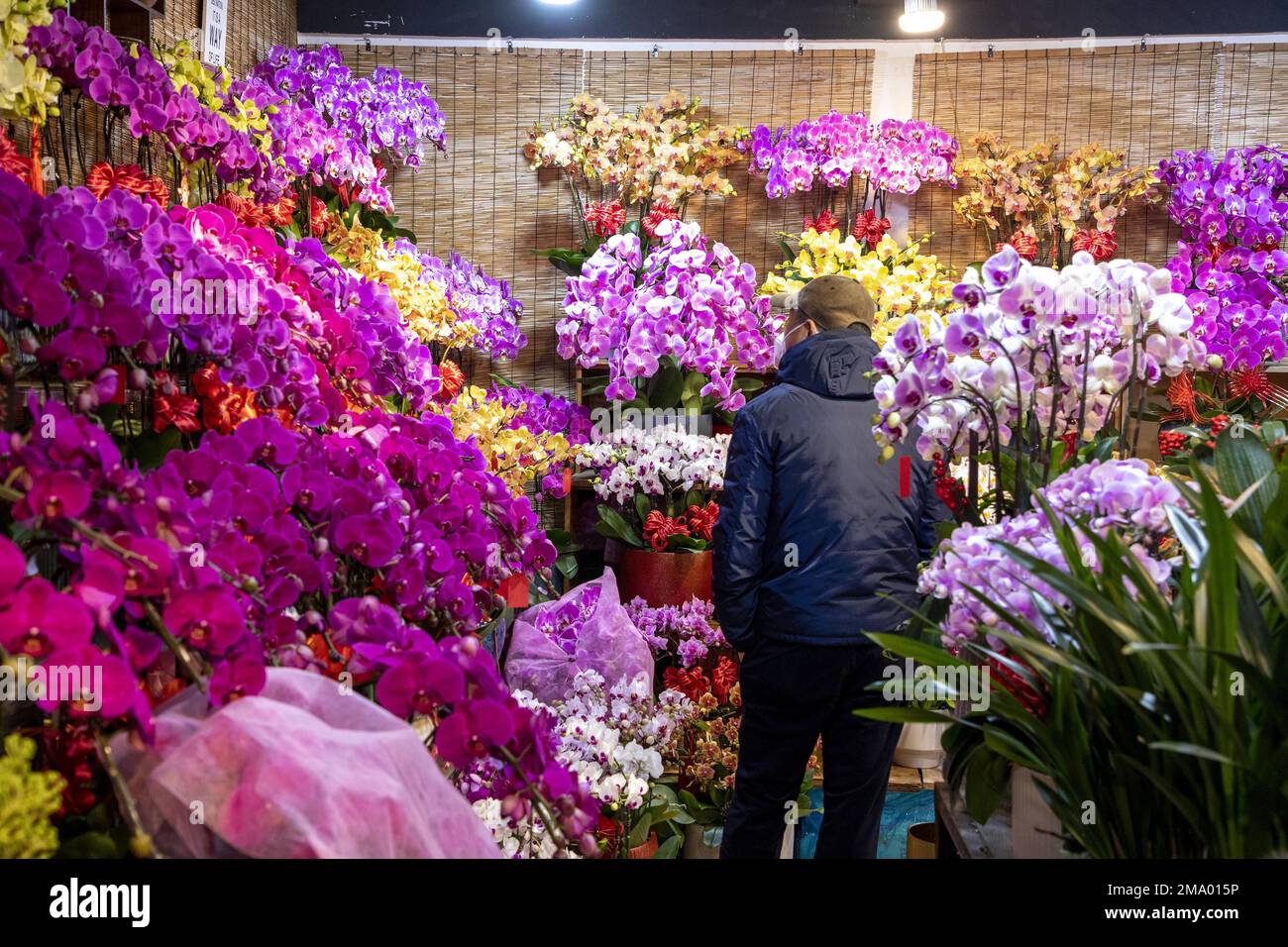 People select flowers for Spring Festival in a flower market in ...