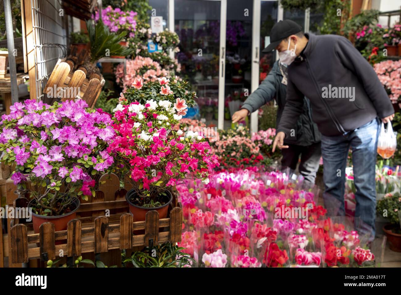 People select flowers for Spring Festival in a flower market in ...