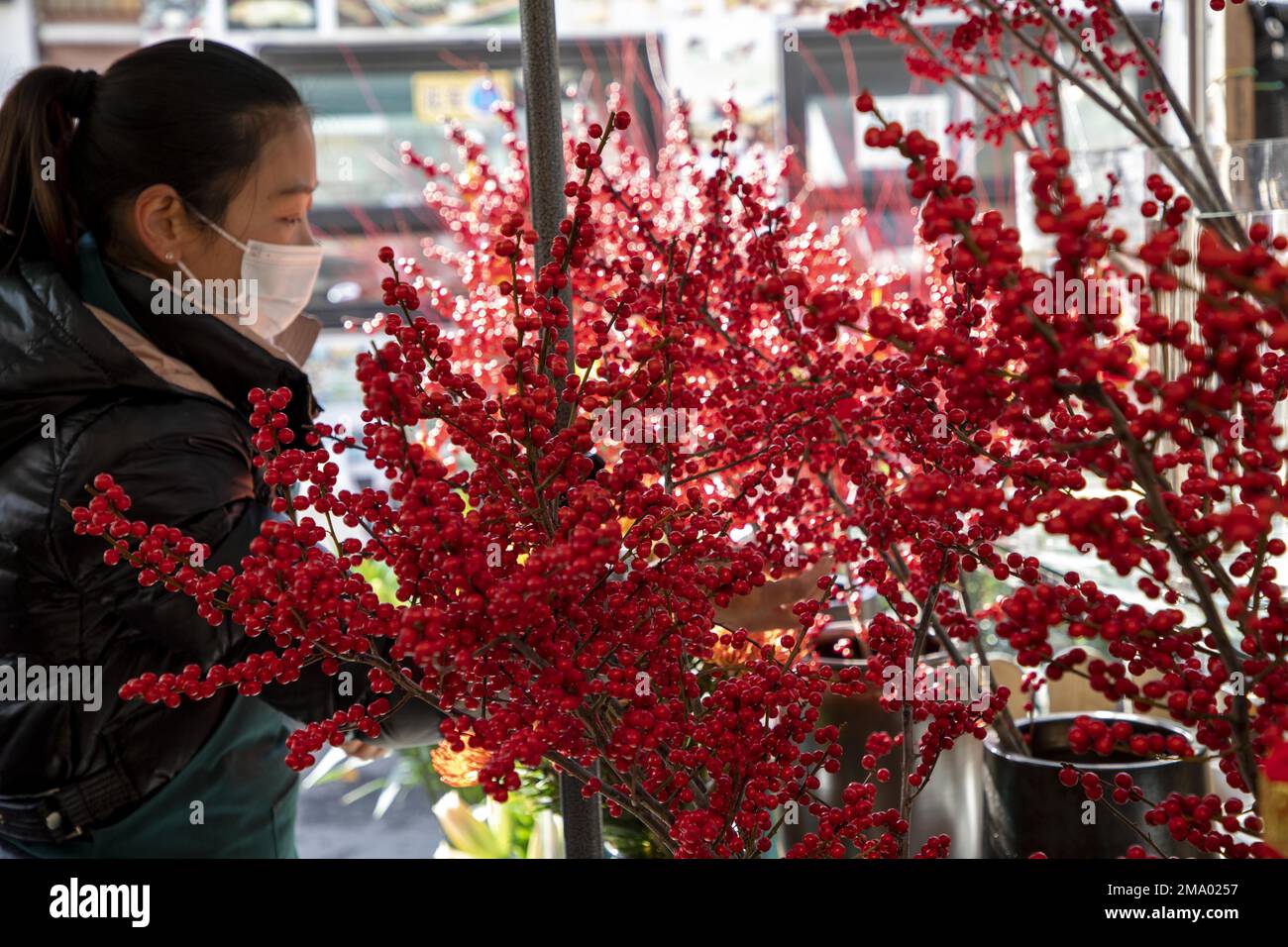 People select flowers for Spring Festival in a flower market in ...