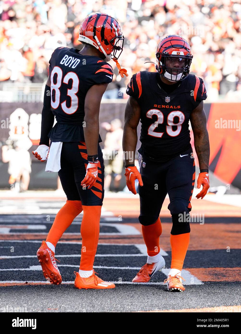 Cincinnati Bengals running back Joe Mixon (28) celebrates with wide ...