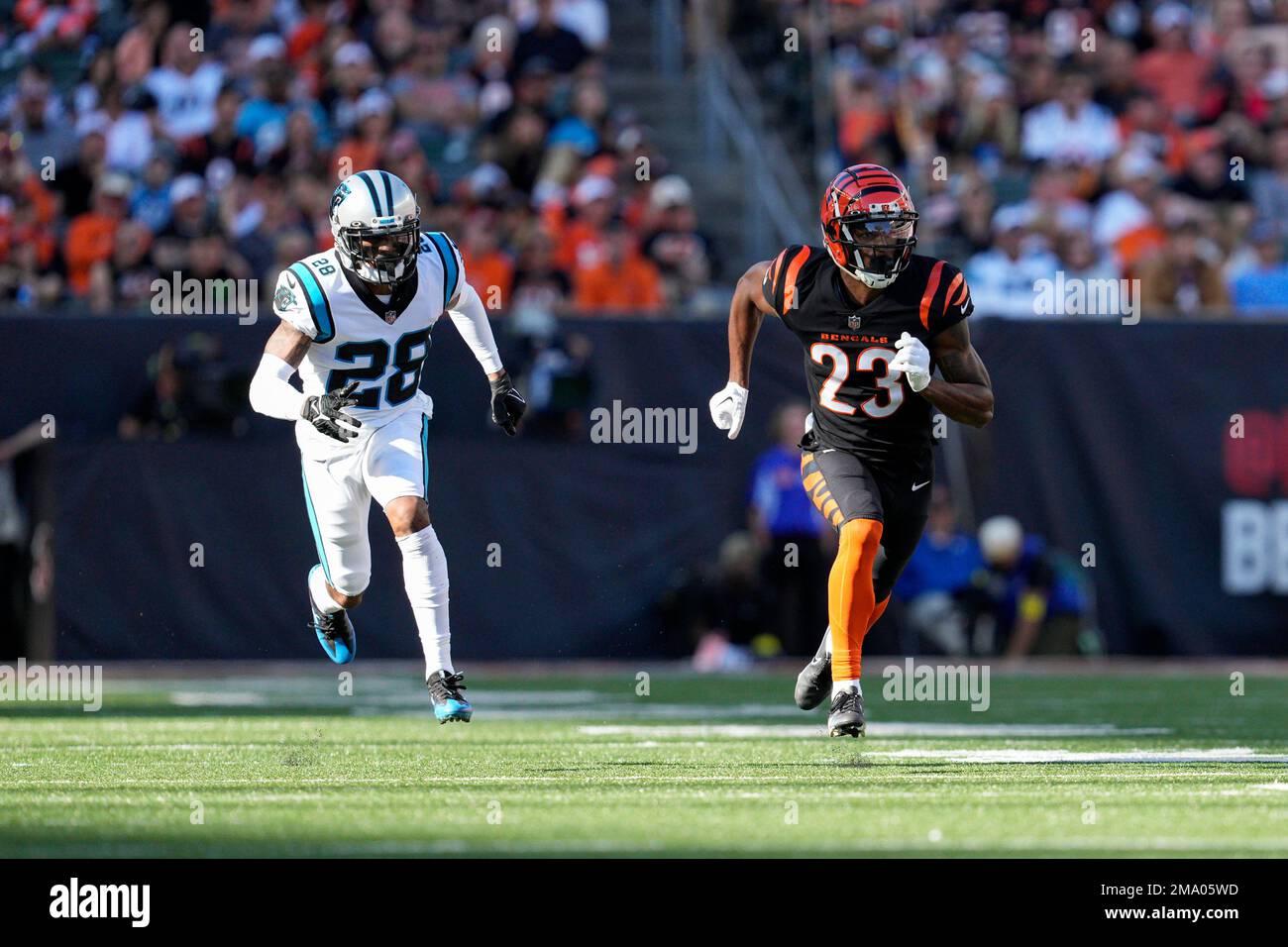 Cincinnati Bengals Dax Hill (23) and Carolina Panthers Keith Taylor Jr ...