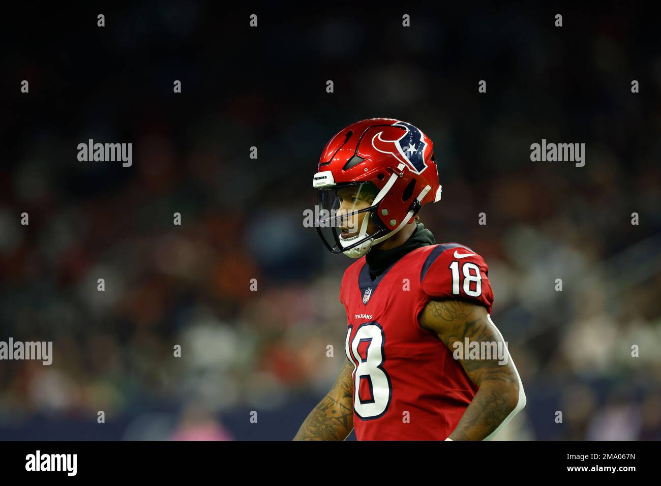 Houston Texans wide receiver Tyron Johnson (18) during an NFL Football ...