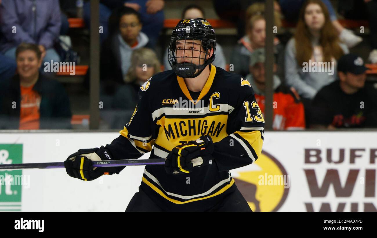 Michigan Tech forward Logan Pietila (13) skates against Bowling Green ...