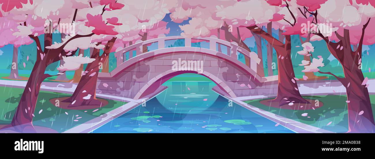 Rainy Japanese cherry garden with bridge and sakura blossom. Spring ...
