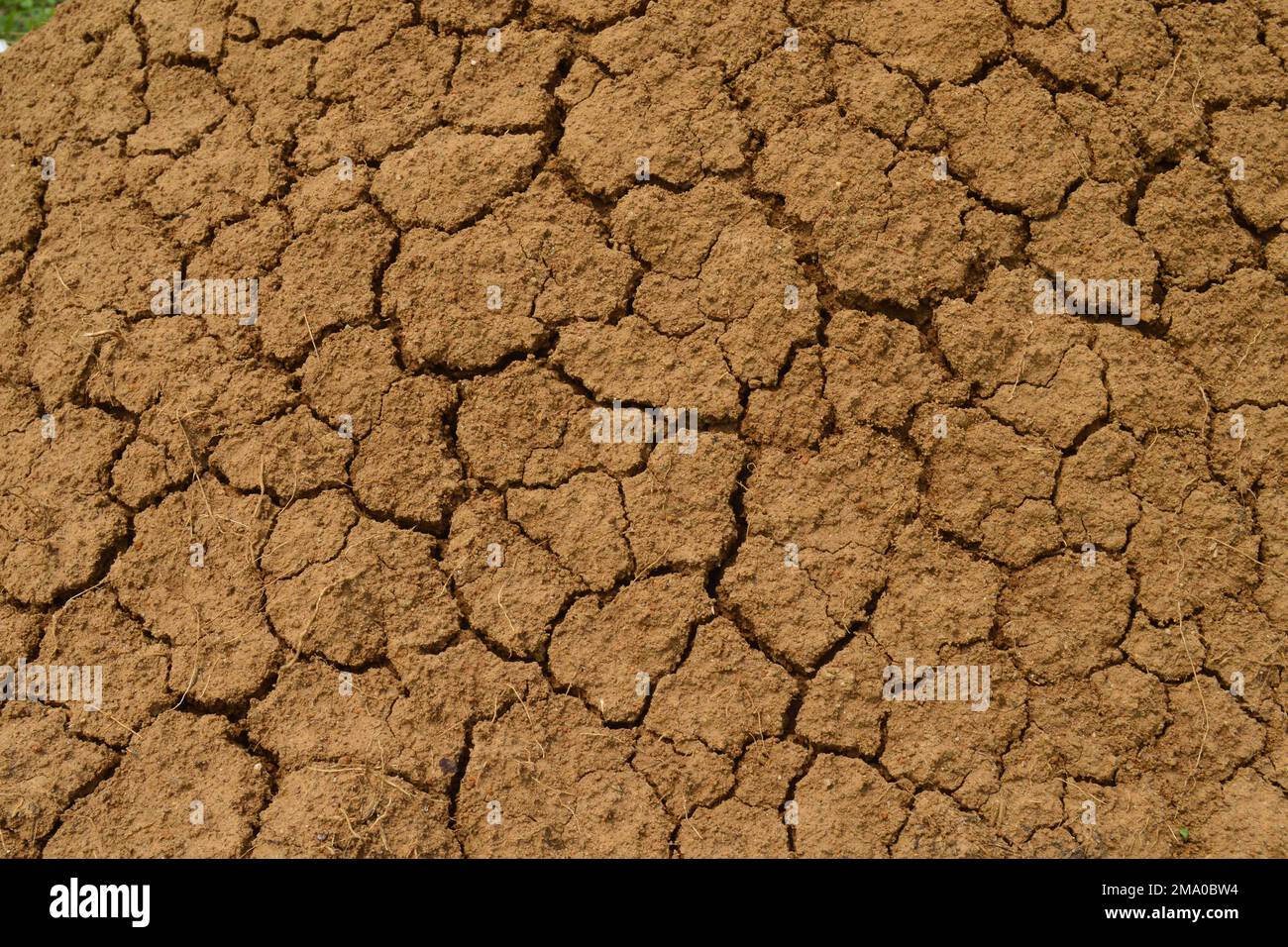 Portrait of dry soil forming cracked soil cracked texture Stock Photo ...
