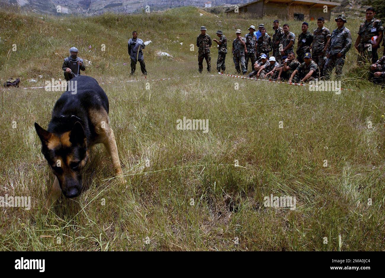 040519-F-6701P-035. Base: Hammana Country: Lebanon (LBN) Scene Major ...