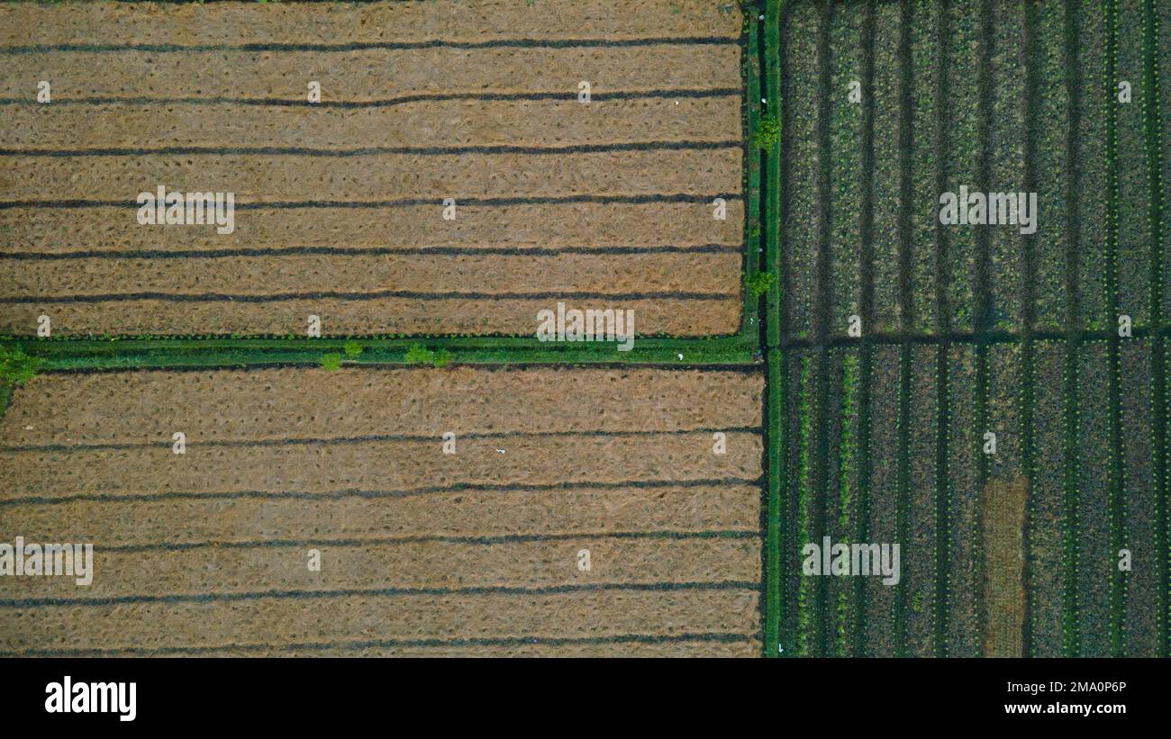 Aerial view of Pattern agriculture land Stock Photo - Alamy