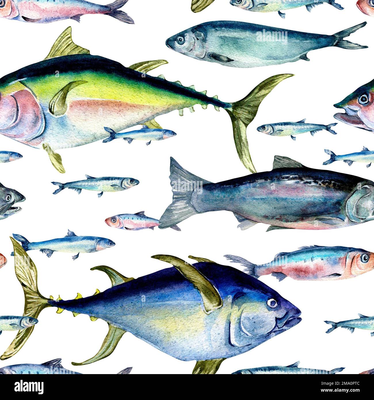 Various wild sea fish seamless pattern watercolor illustration isolated ...