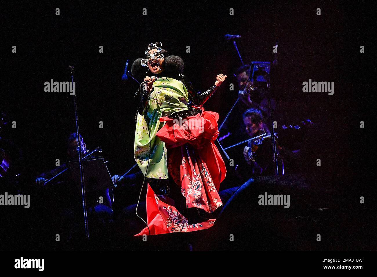 Icelandic singer Bjork performs at the Primavera Sound festival in Sao ...