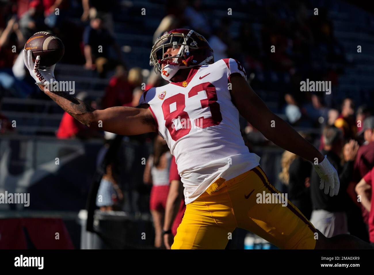 Southern California tight end Josh Falo (83) in the first half during ...