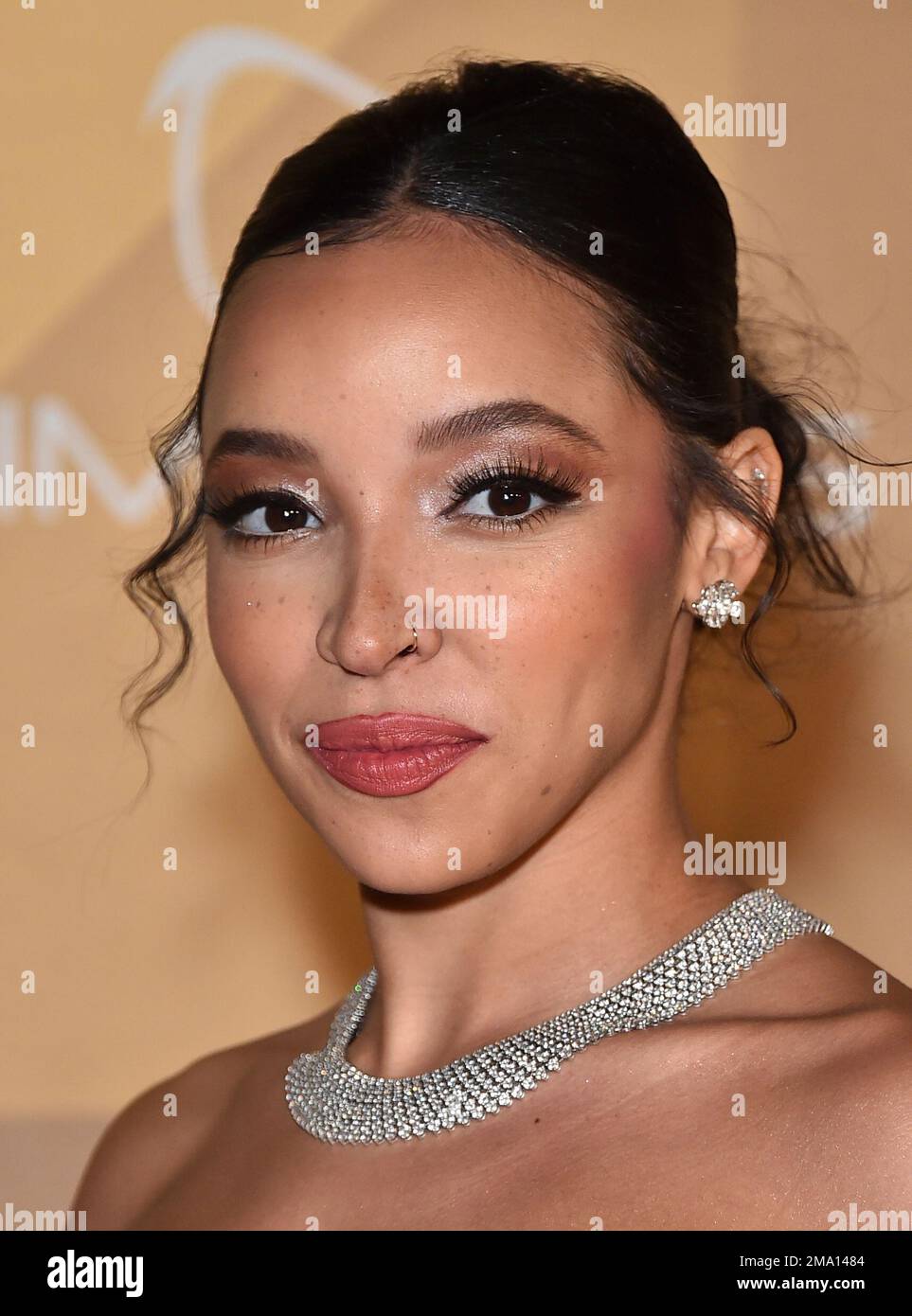 Tinashe arrives at the amfAR Gala Los Angeles at The Pacific Design ...