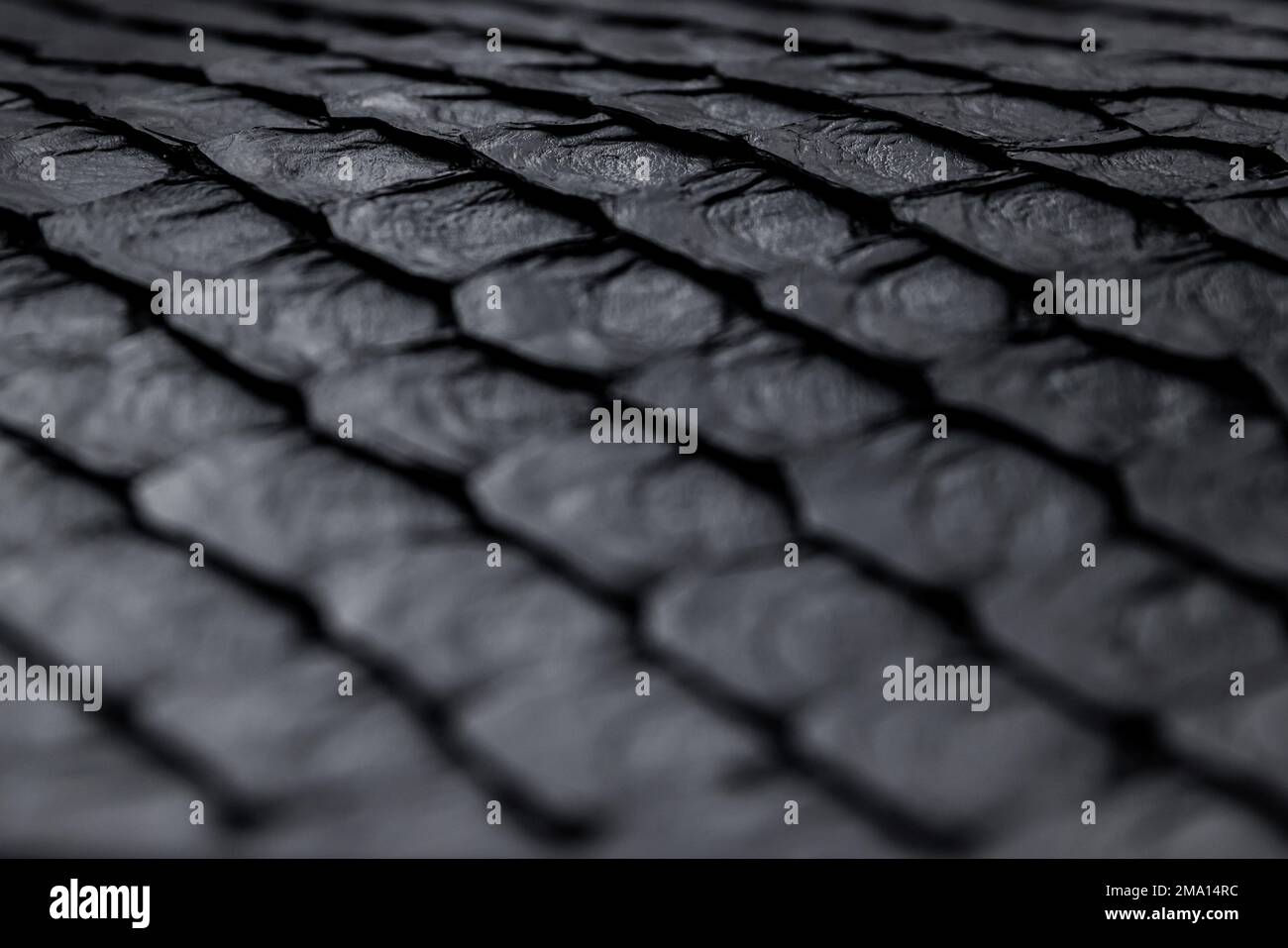 A black pirarucu skin at Park Avenue International, Wednesday, Nov. 2 ...