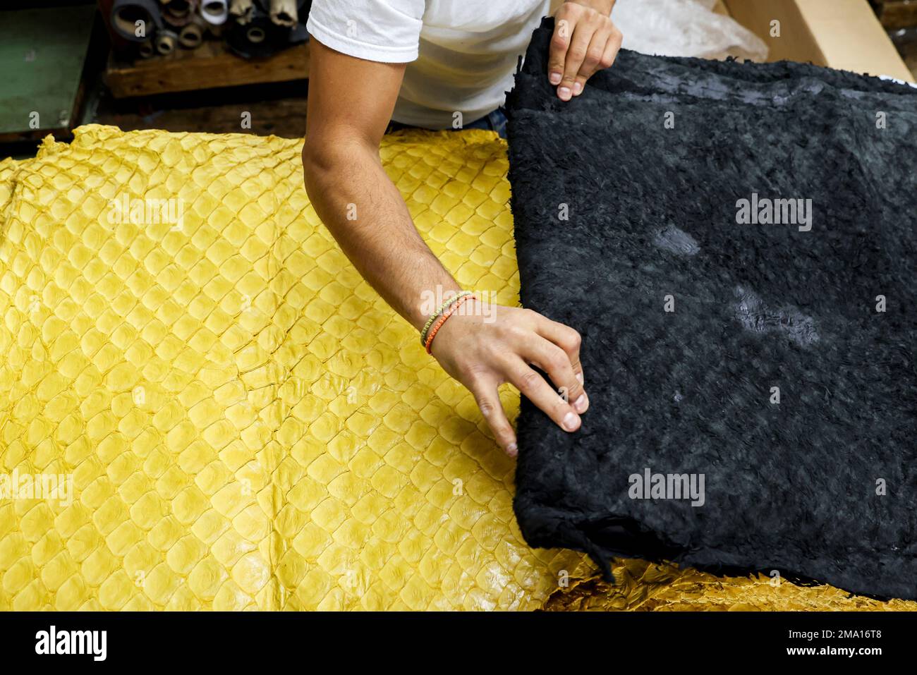 Alex Dabagh looks through a box of newly-arrived pirarucu skins ...