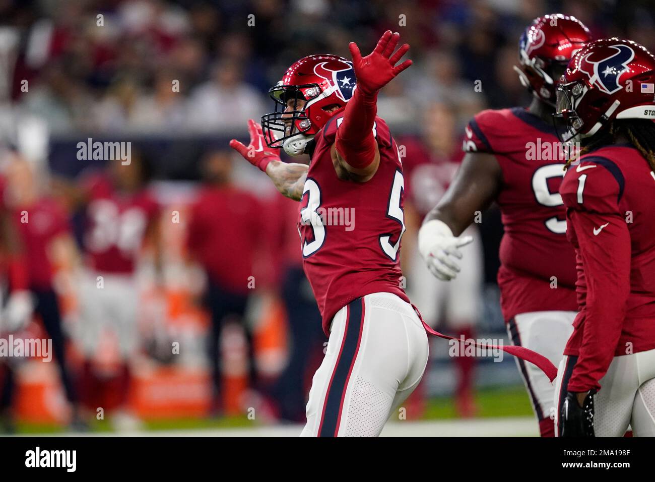 Houston Texans linebacker Blake Cashman (53) celebrates after the ...
