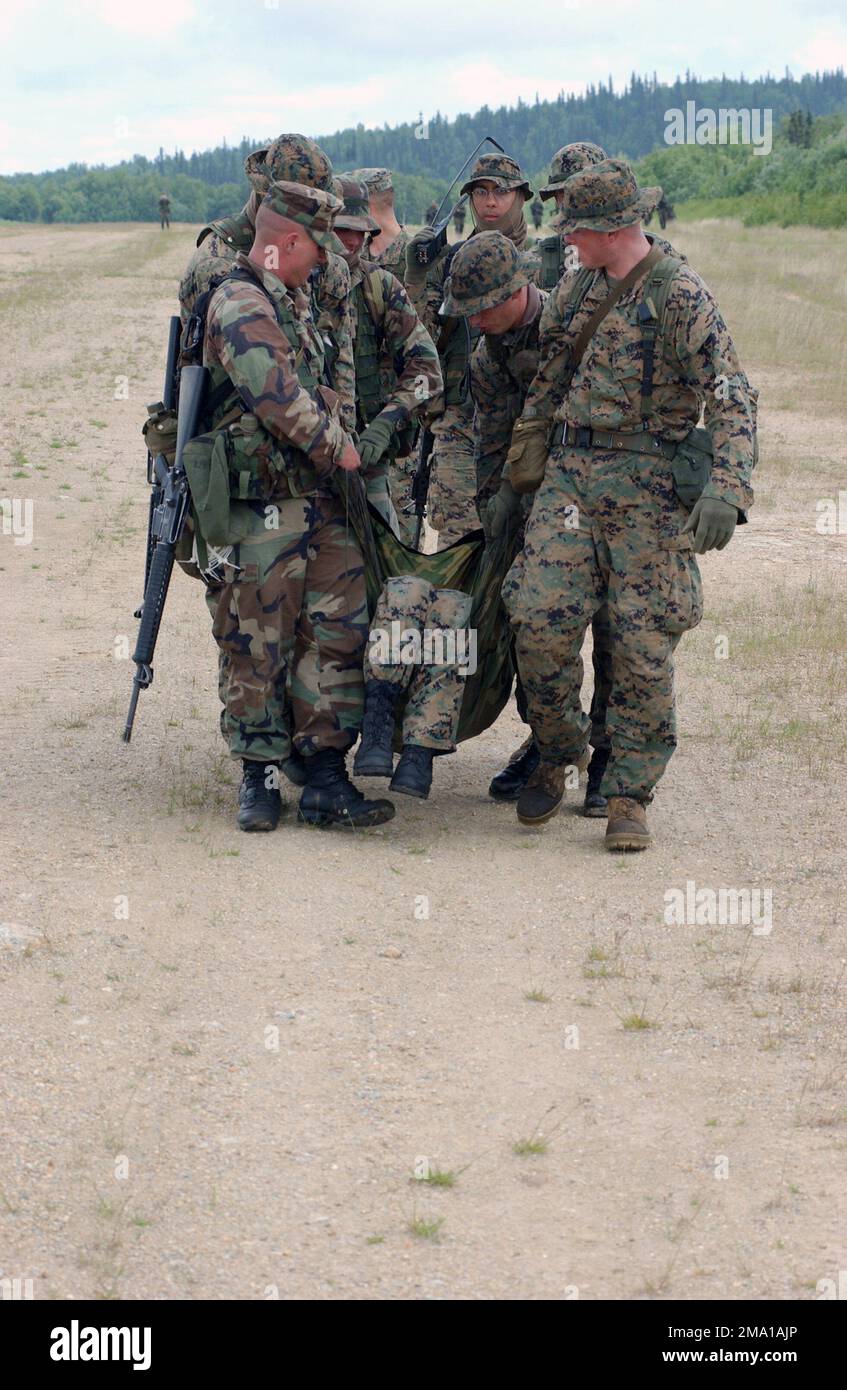 040609-F-3488S-004. Base: Eielson Air Force Base State: Alaska (AK ...