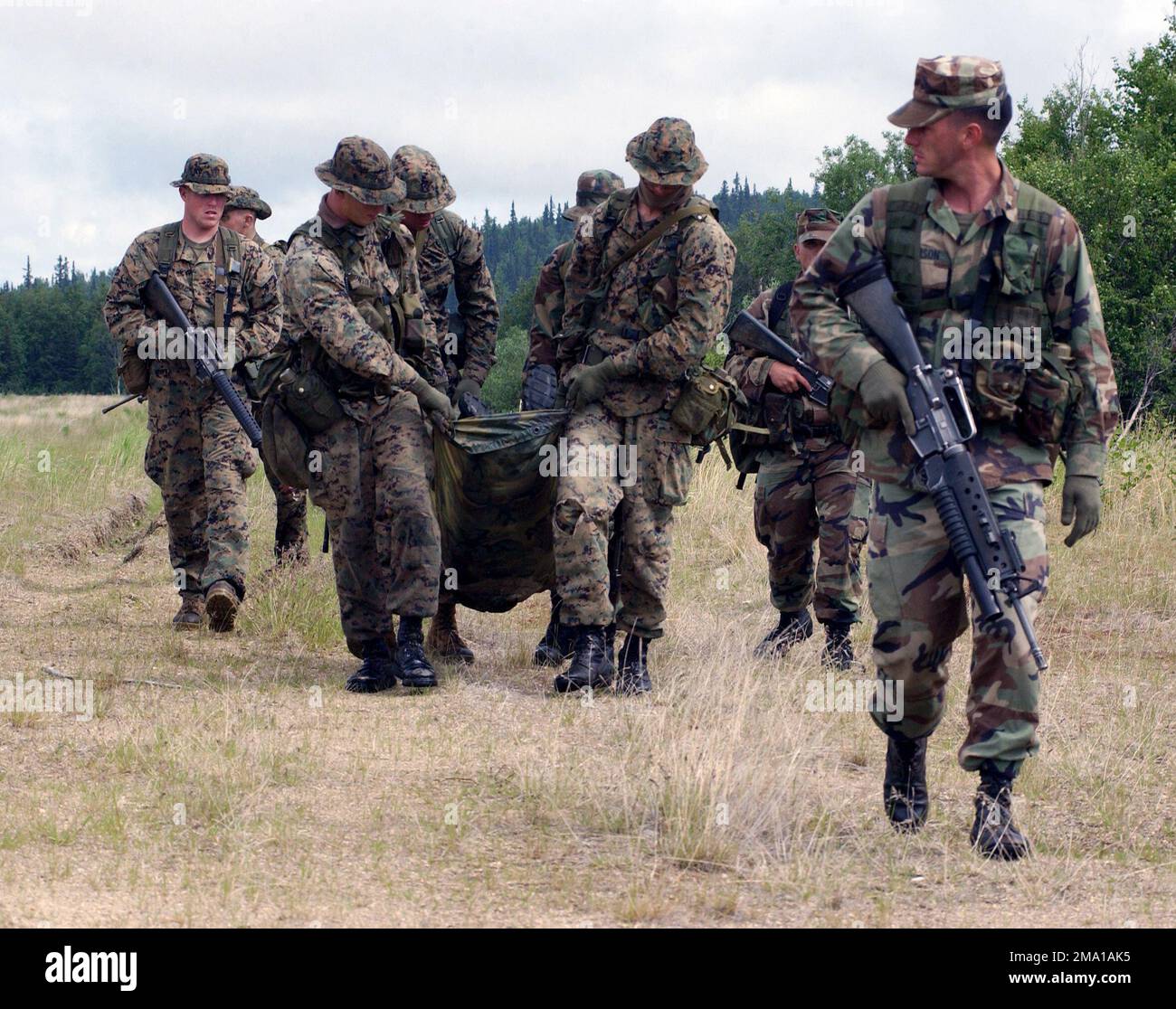 040609-F-3488S-013. Base: Eielson Air Force Base State: Alaska (AK ...