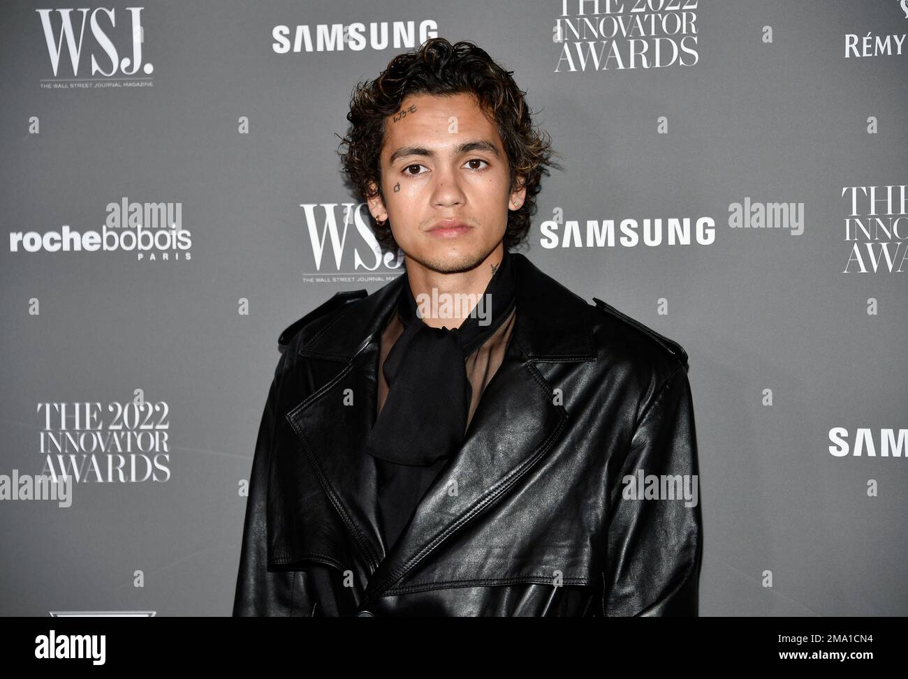 Dominic Fike attends the WSJ. Magazine 2022 Innovator Awards at The ...