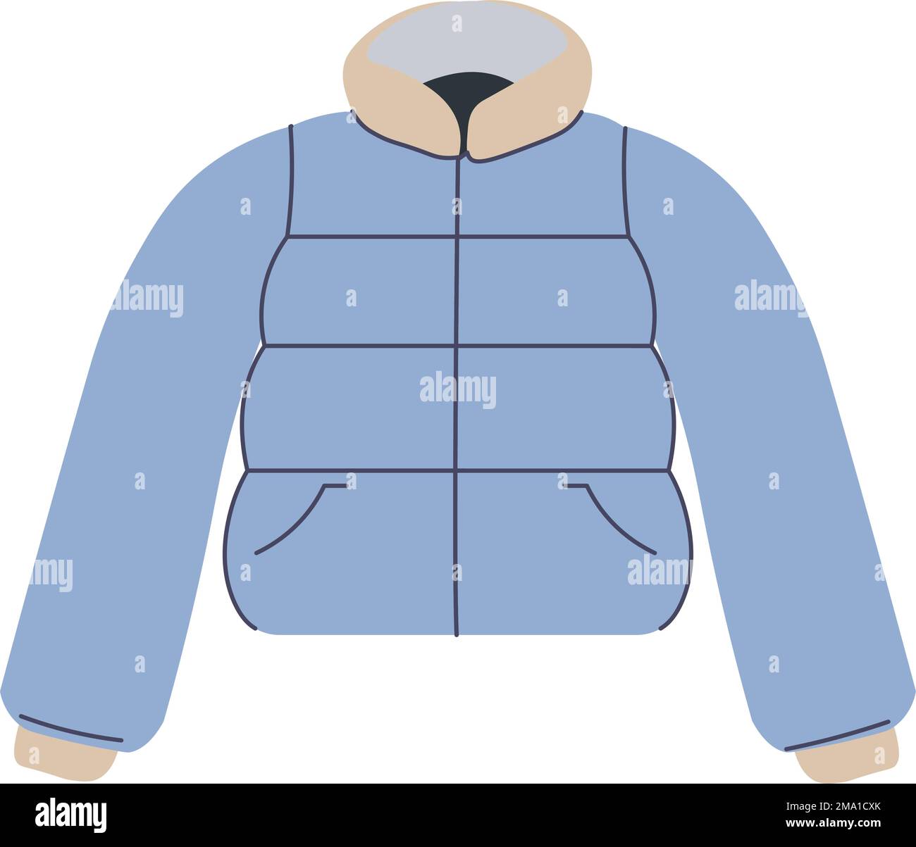 Outerwear clothes, crop jacket for winter vector Stock Vector Image ...