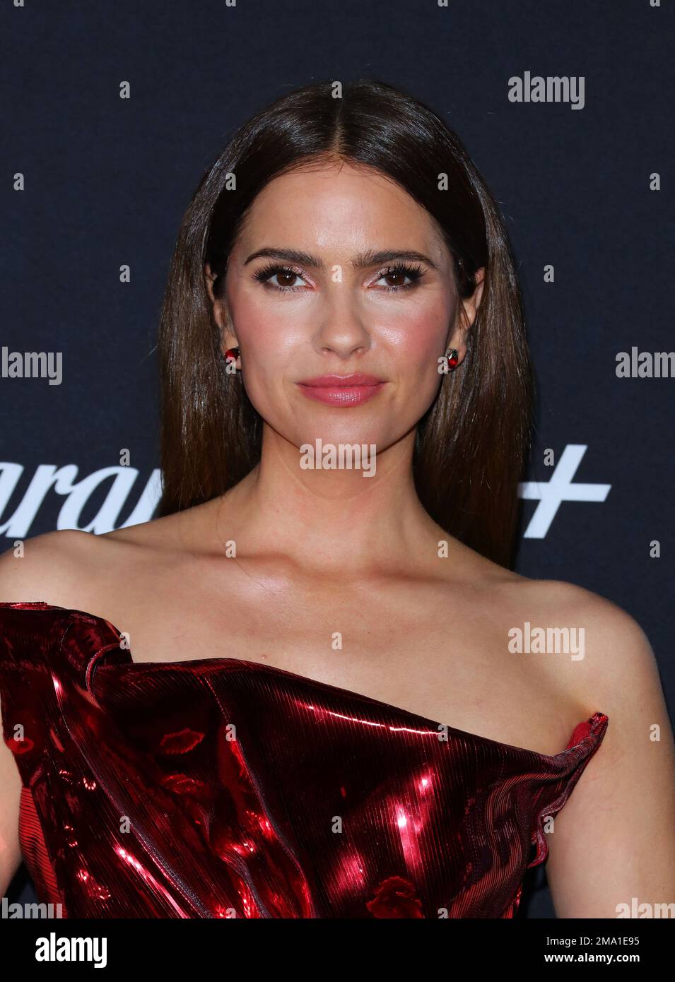Shelley Henning arrives at The Los Angeles red carpet premiere for TEEN ...