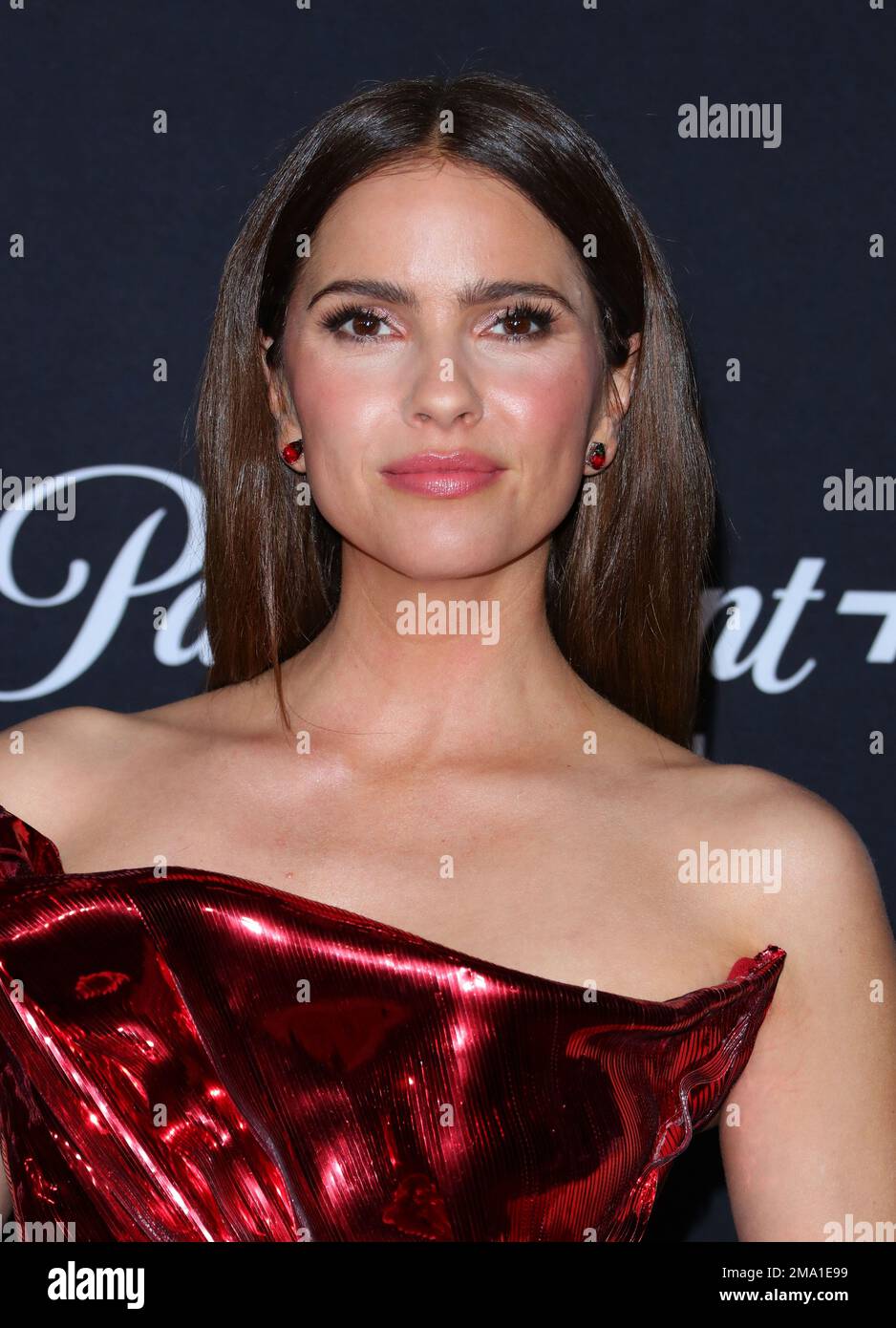 Shelley Henning arrives at The Los Angeles red carpet premiere for TEEN ...