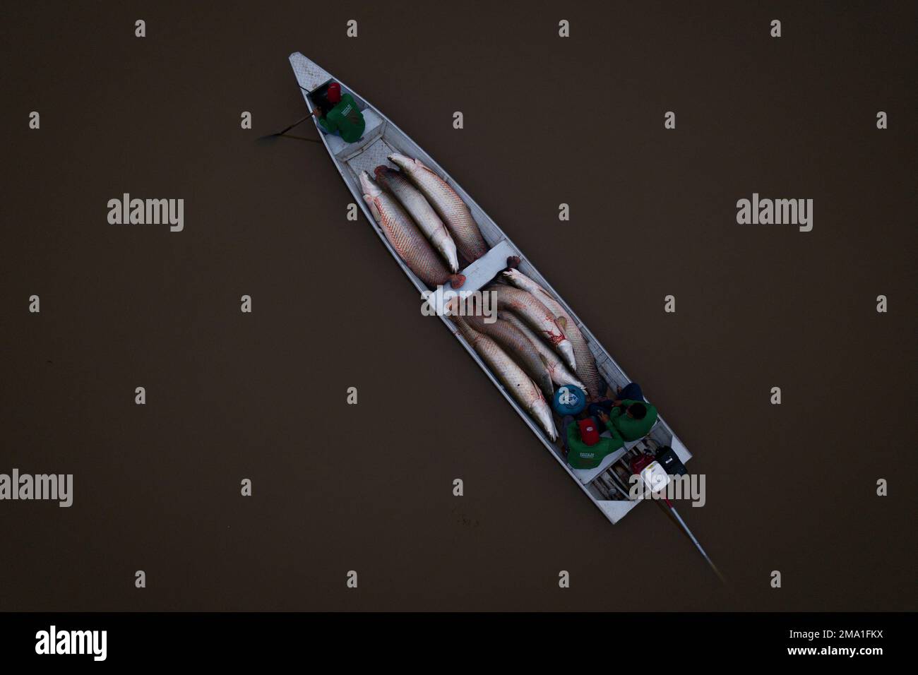 A boat transports fish to the processing ship, in San Raimundo ...