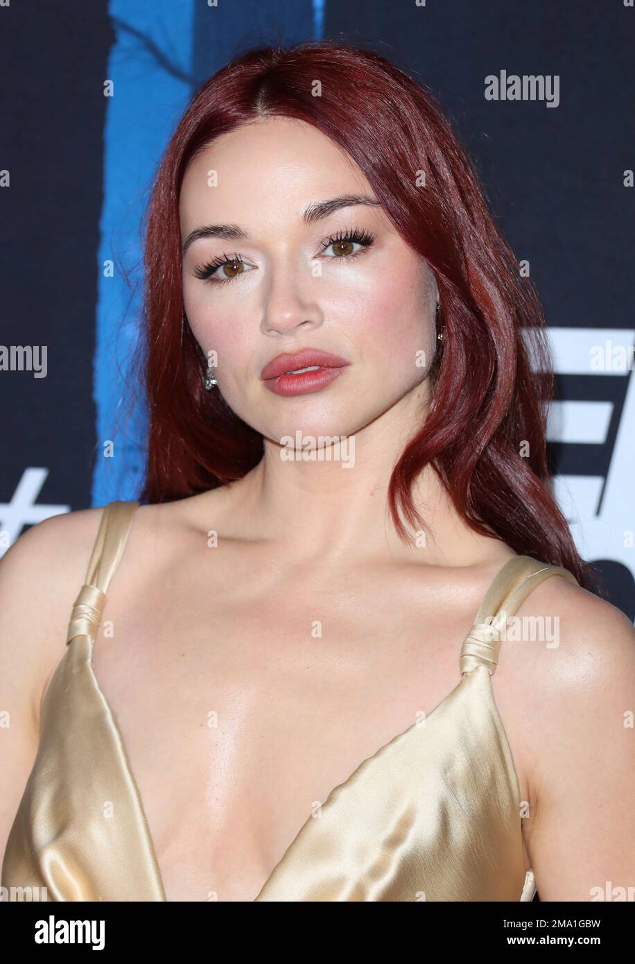 Crystal Reed Teen Wolf Poster