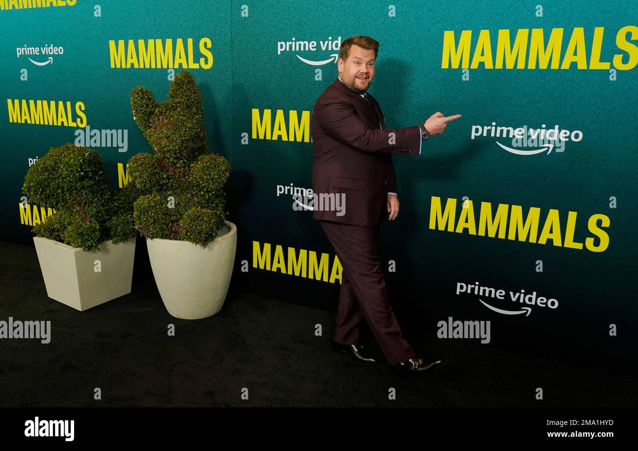 James Corden poses at the premiere of the Amazon Prime Video series ...