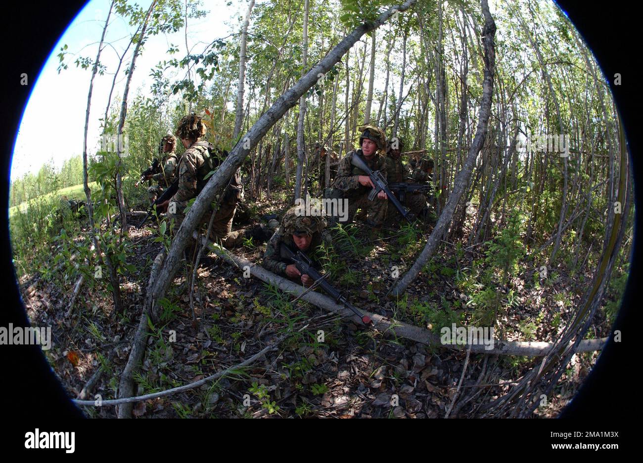 040614-F-3488S-014. [Complete] Scene Caption: US Marine Corps (USMC ...