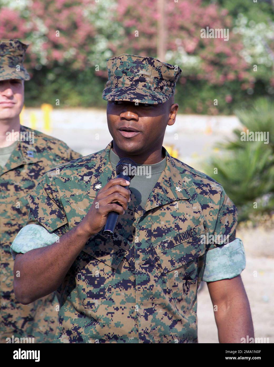 Usmc pao hi-res stock photography and images - Alamy