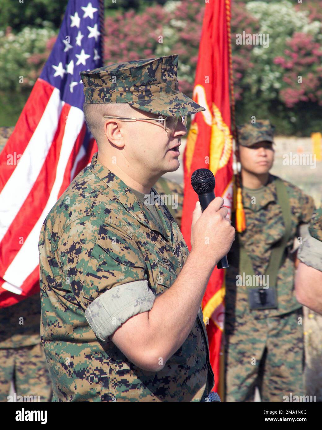 Usmc pao hi-res stock photography and images - Alamy