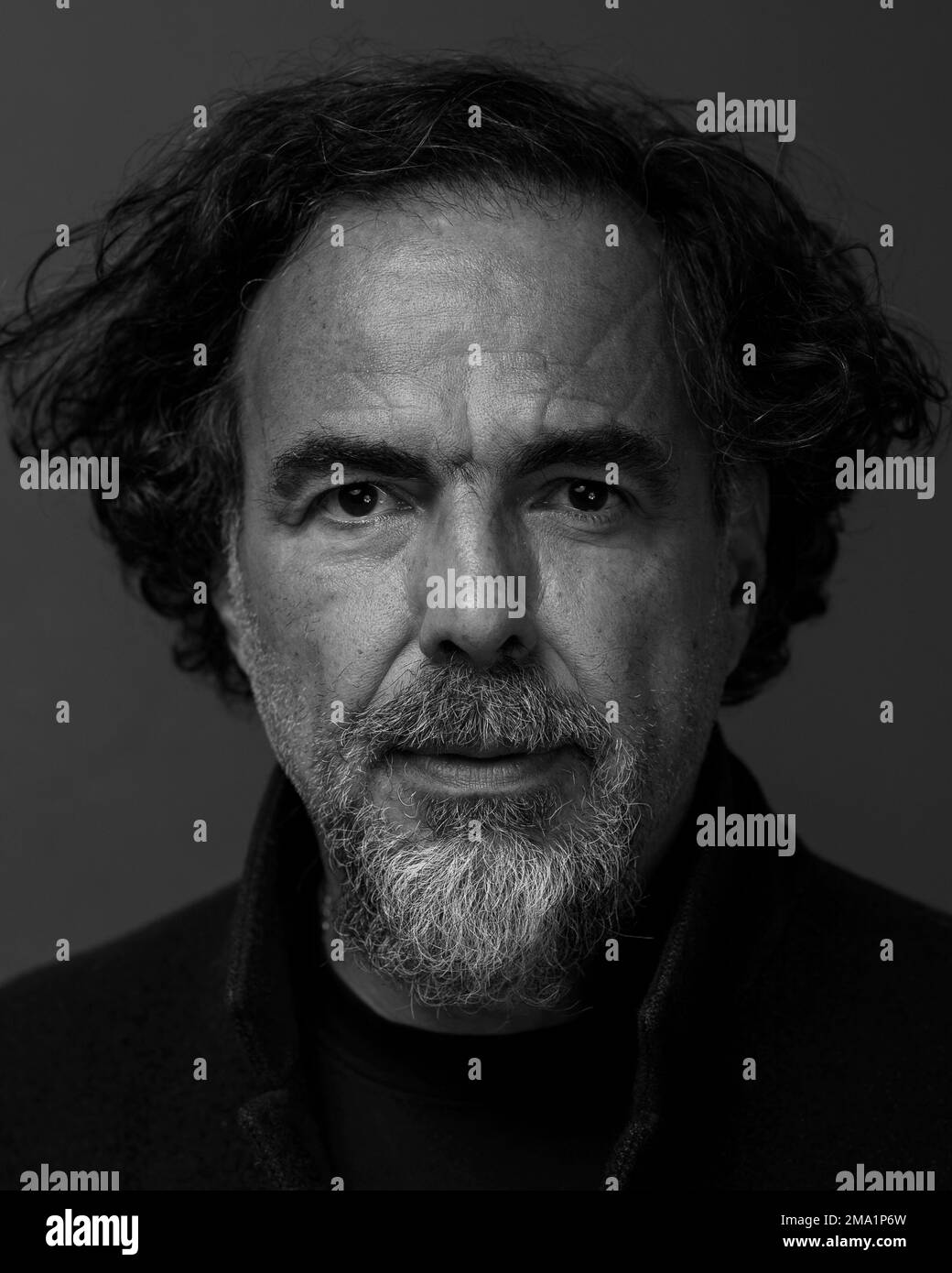 Alejandro Gonzalez Inarritu poses for a portrait to promote the film ...