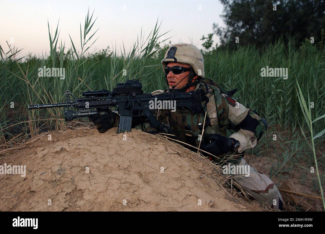 Lsa anaconda hi-res stock photography and images - Alamy