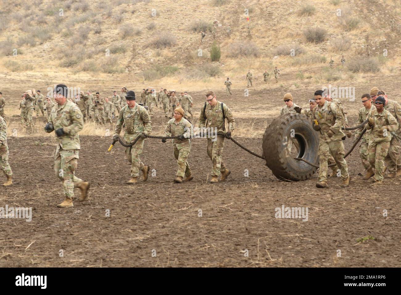 Ensure victory hi-res stock photography and images - Alamy