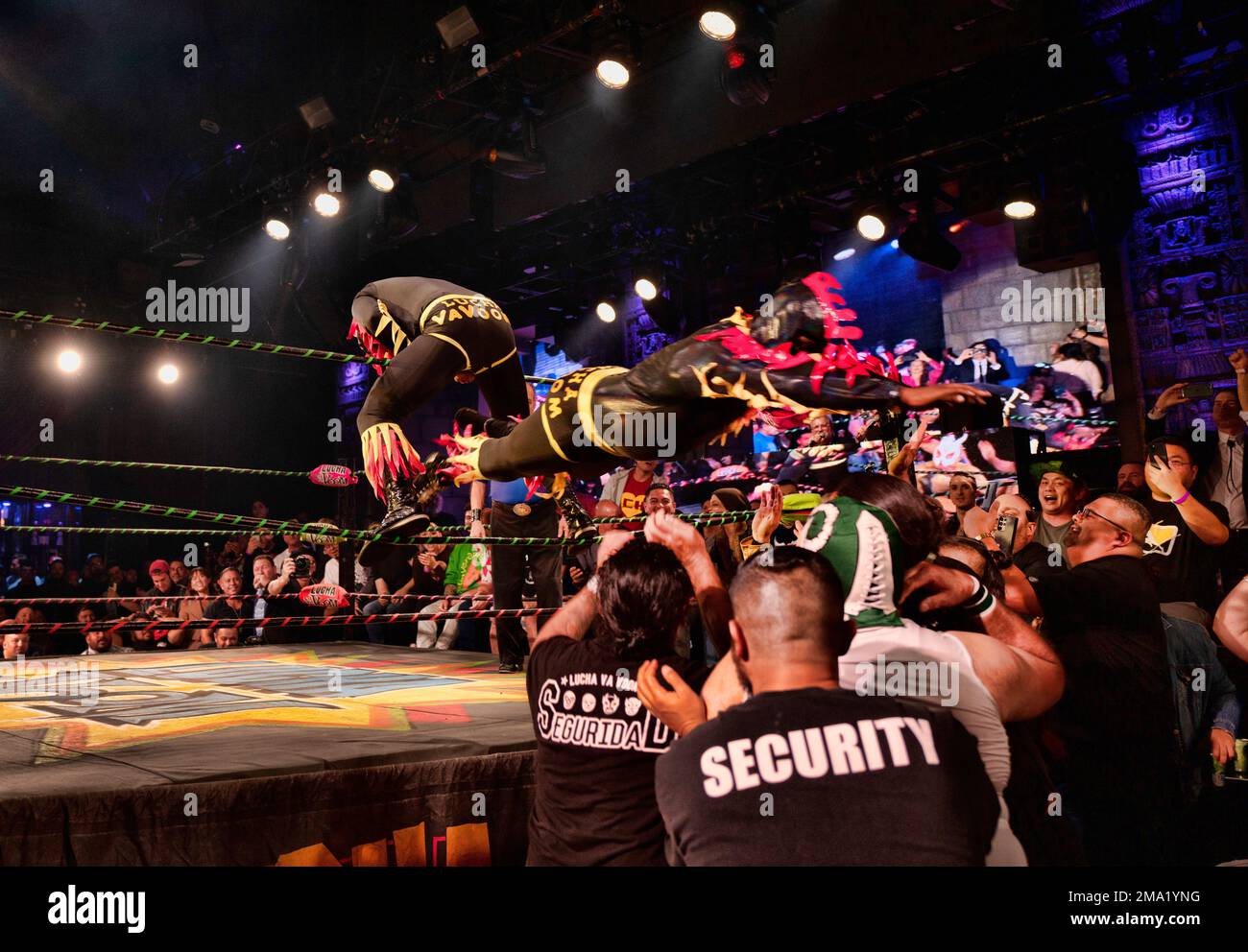 The Crazy Chickens fly over the ropes and into the audience during ...