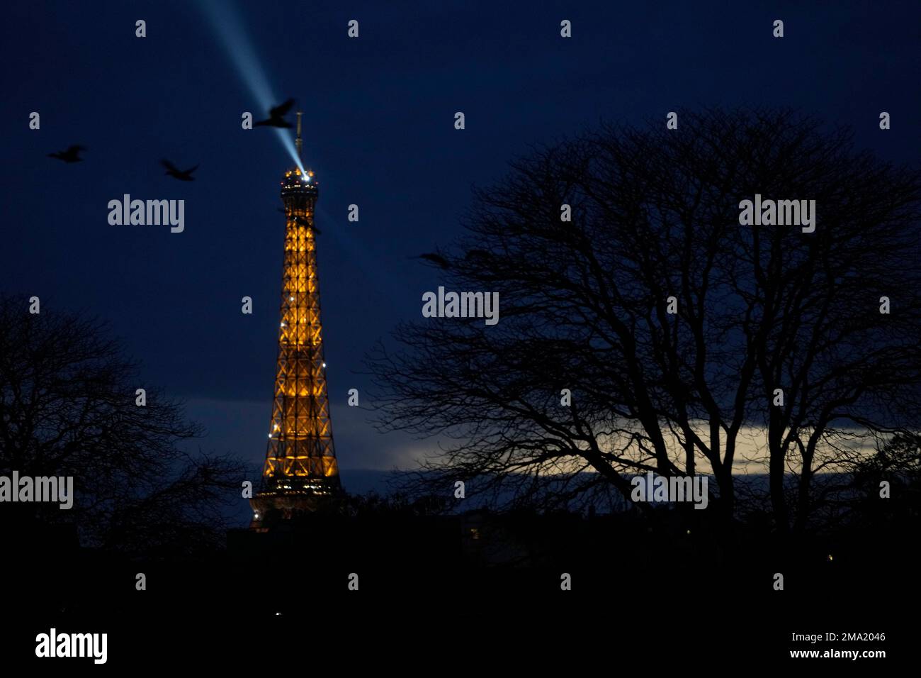 Paris Skyline with the Eiffel Tower at night, in Paris, France, Tuesday ...
