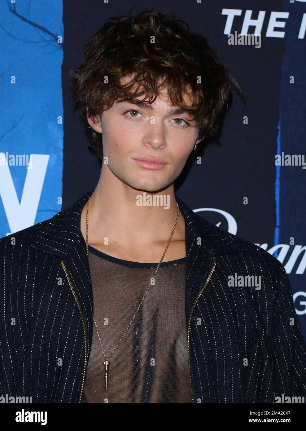 Tyler Lawrence Gray arrives at The Los Angeles red carpet premiere for ...