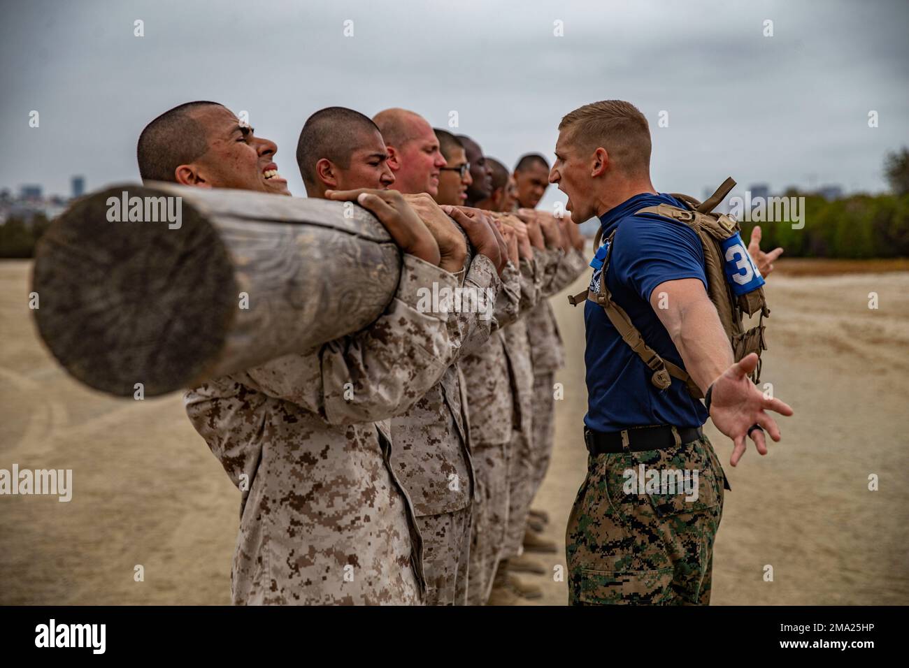 Rookstool hi-res stock photography and images - Alamy