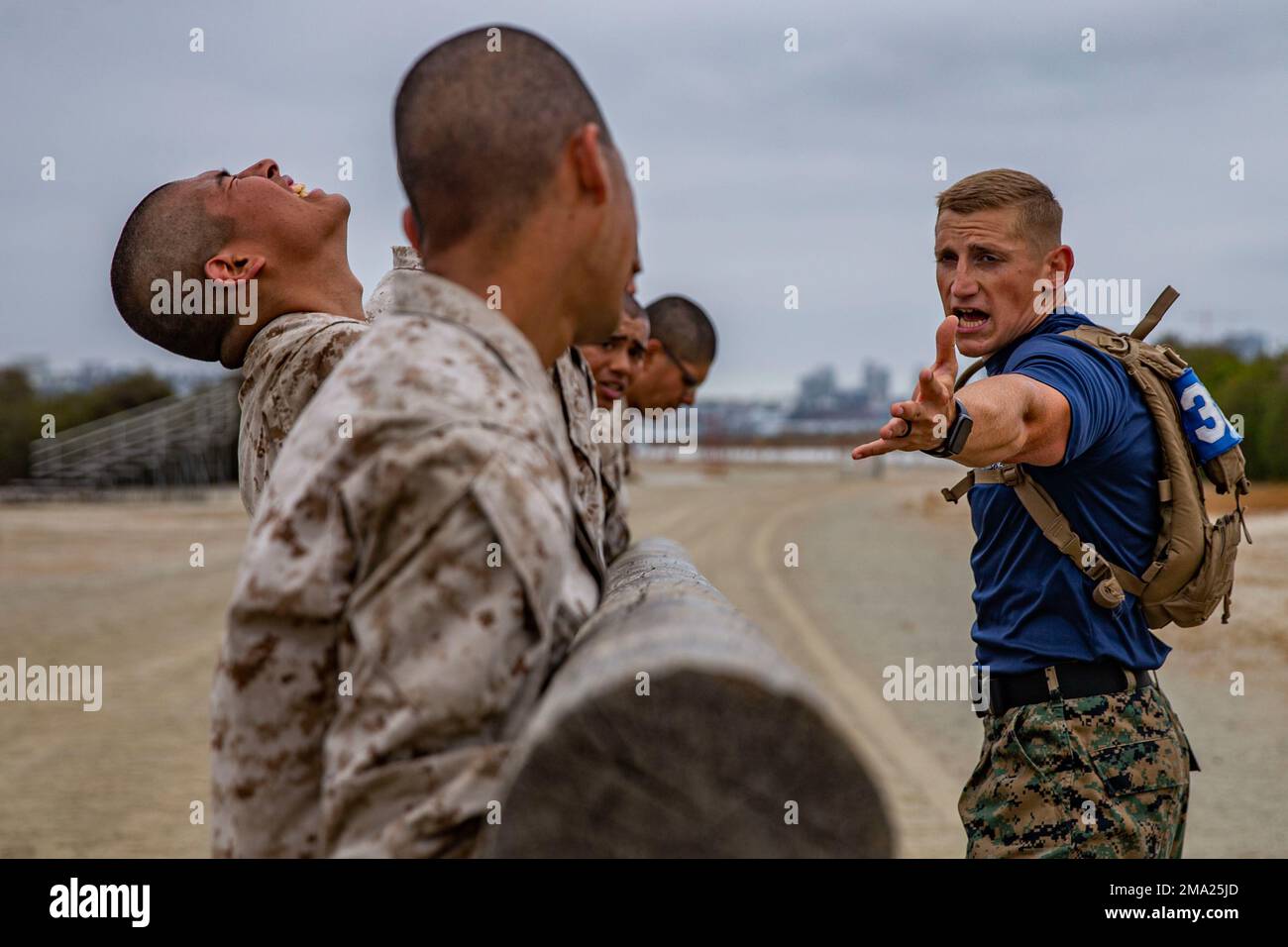 Rookstool hi-res stock photography and images - Alamy