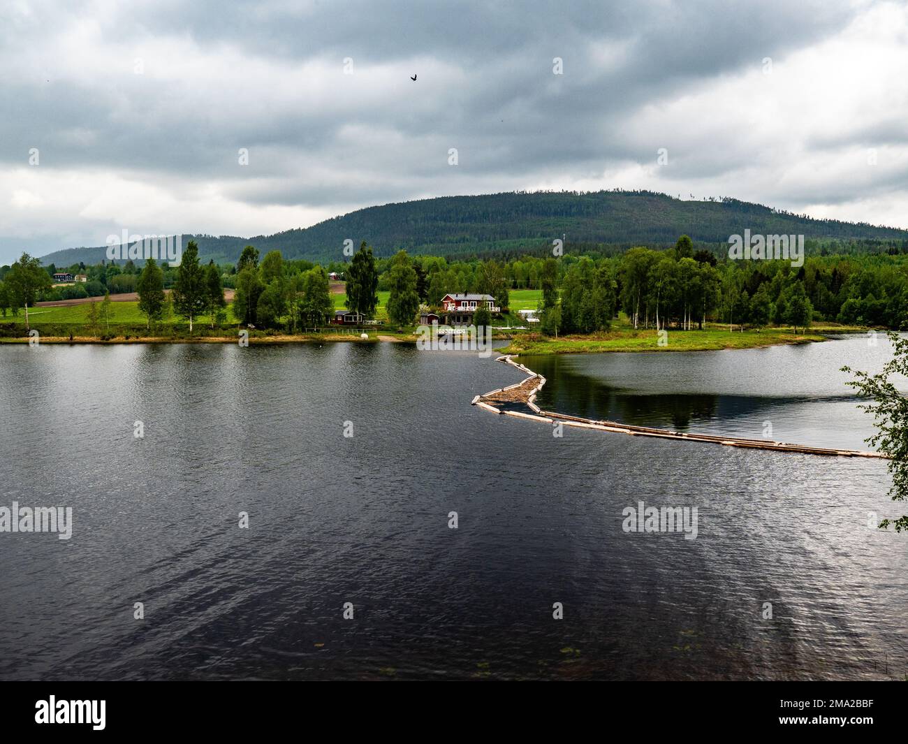 A view of a lake split with some logs. Nordic countries all boast ...